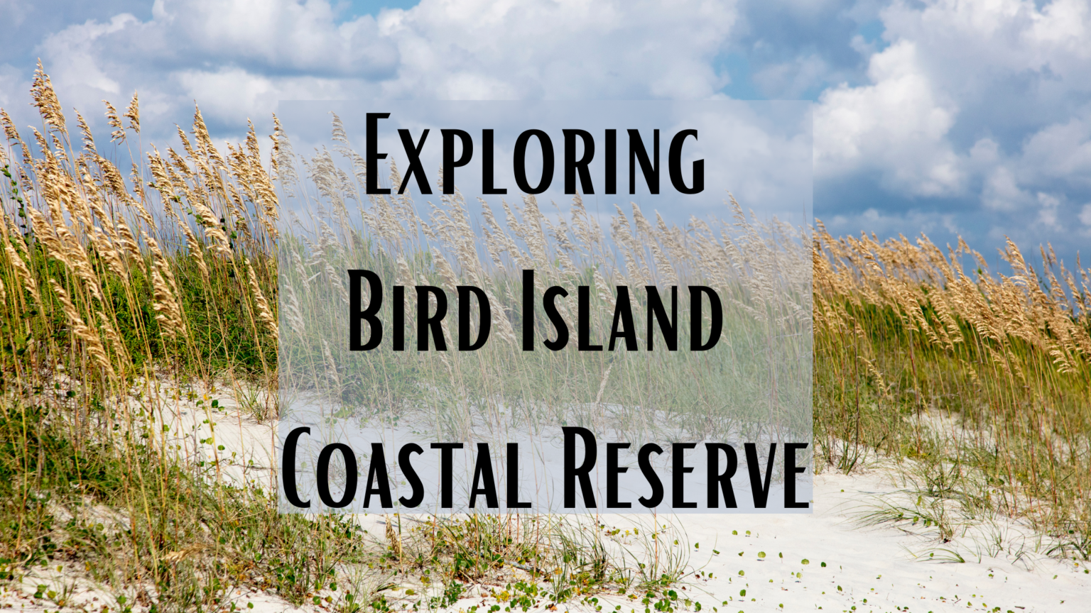 Exploring Bird Island Coastal Reserve » Sunset Beach and Beyond Realty